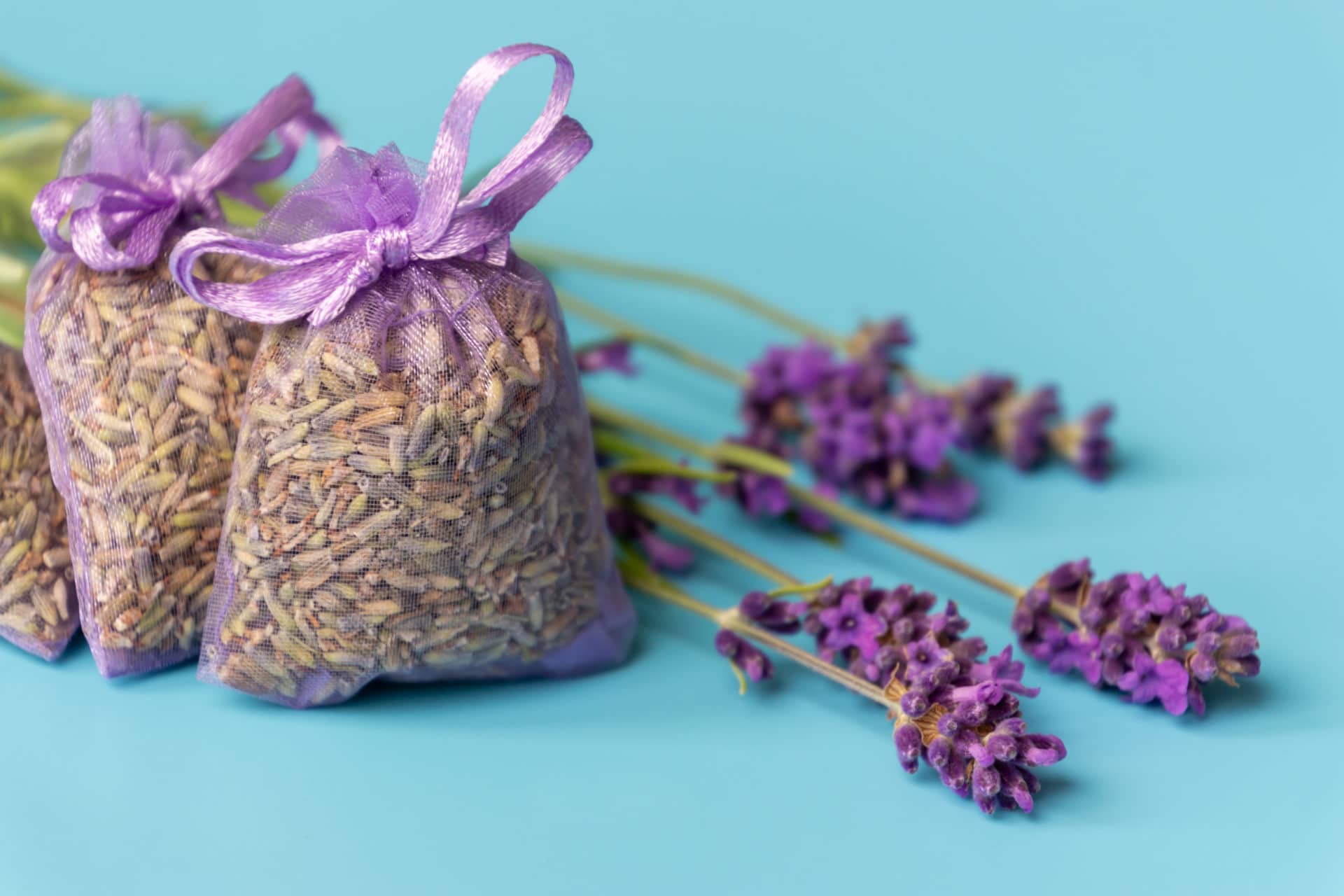 Comment se débarrasser des mites textiles